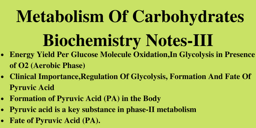 Metabolism Of Carbohydrates Biochemistry Notes-III - Nurses Educator