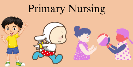 Health Care System and Primary Nursing Care - Nurses Educator