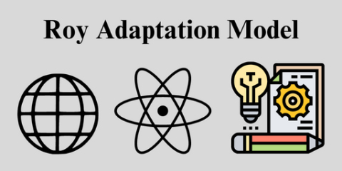 Roy Adaptation Model In Health Care - Nurses Educator