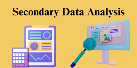 Health Care Research and Secondary Data Analysis - Nurses Educator