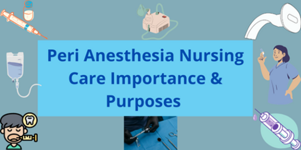 Purposes of Peri-anesthesia Care Unit - Nurses Educator