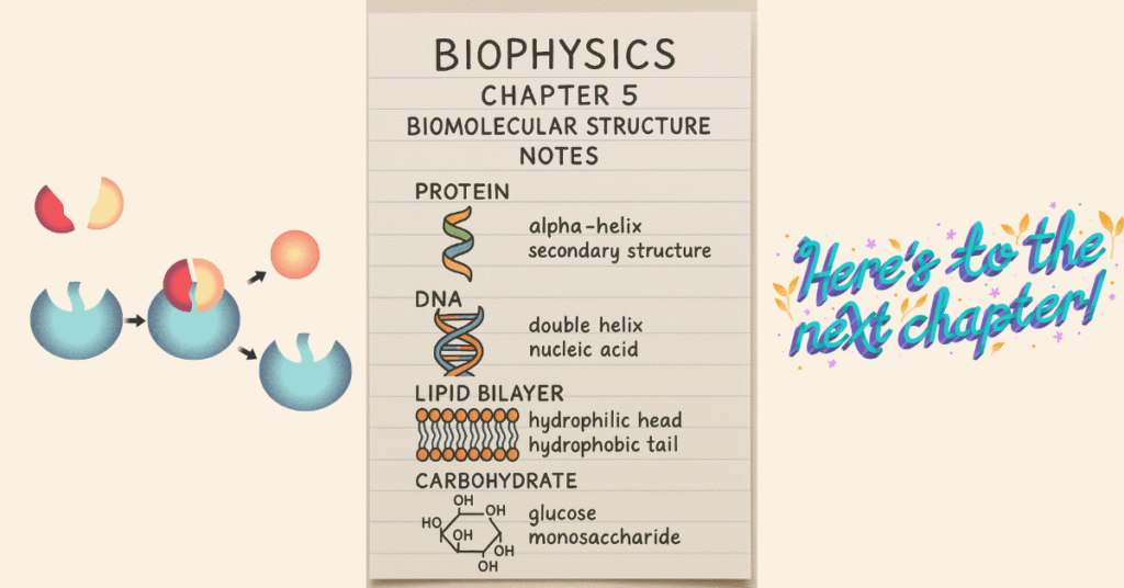 Biophysics Chapter 5 Biomolecular Structure Notes Nurses Educator
